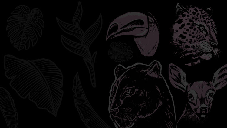 SOLFERINO NATIVE – SolferinoNAtive